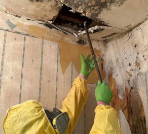Mold Stingers | Pittsburgh Mold Removal and Restoration